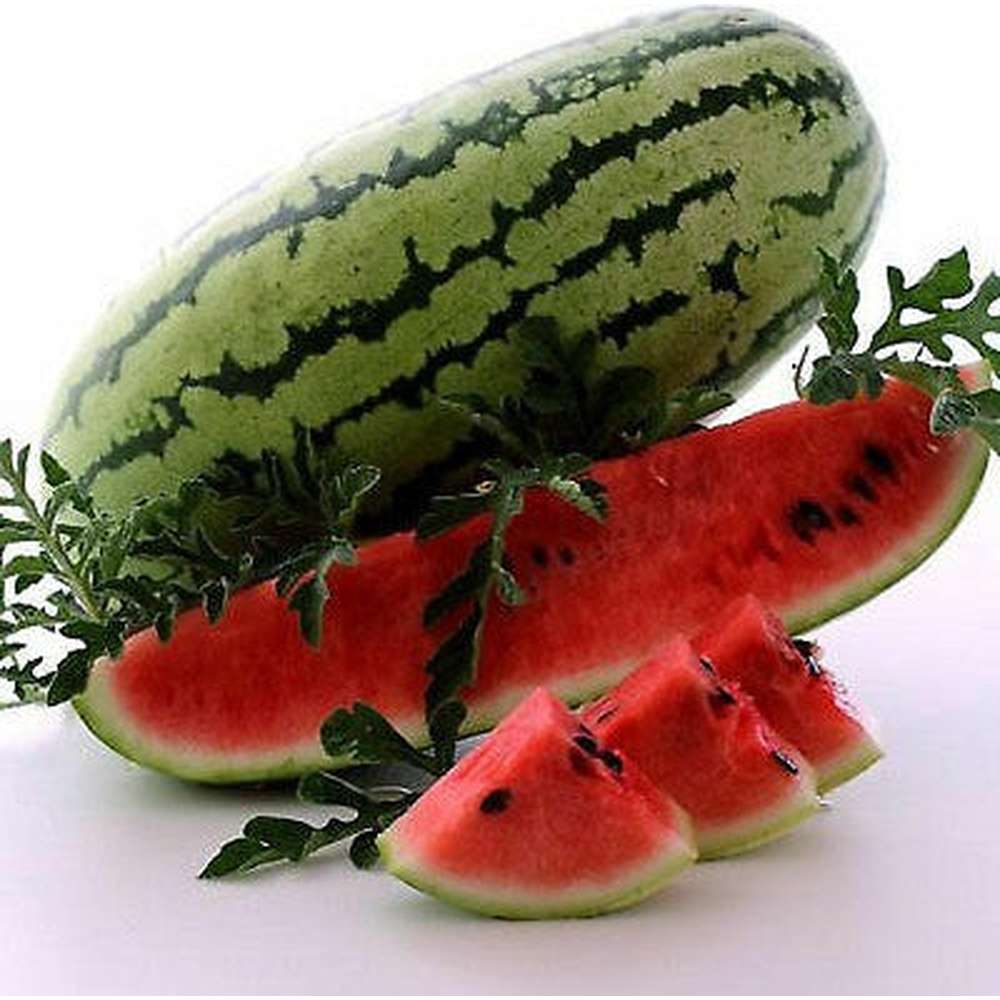 Watermelon 'Bush Jubilee' Seeds – D&H Seed Harvest Co