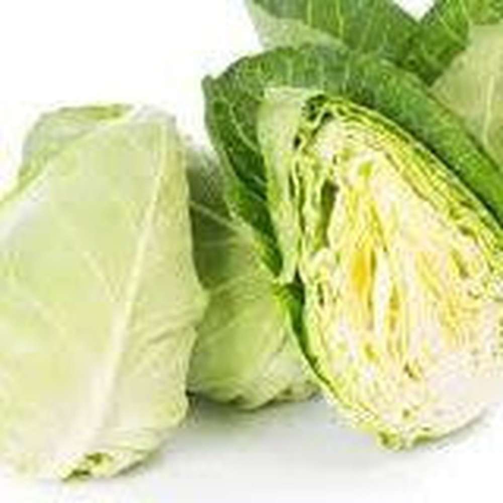 Cabbage 'Sugarloaf' Seeds – D&H Seed Harvest Co