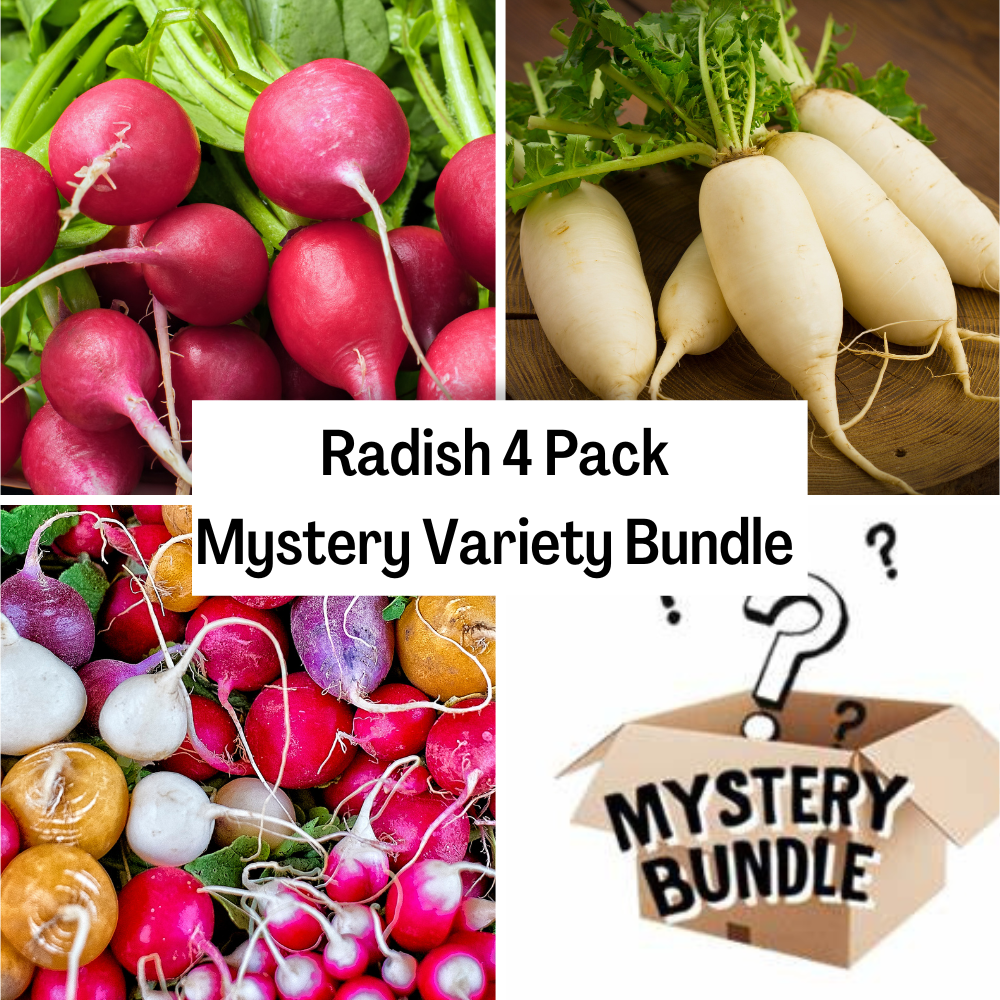 Radish 4 Pack Mystery Variety Bundle – D&H Seed Harvest Co