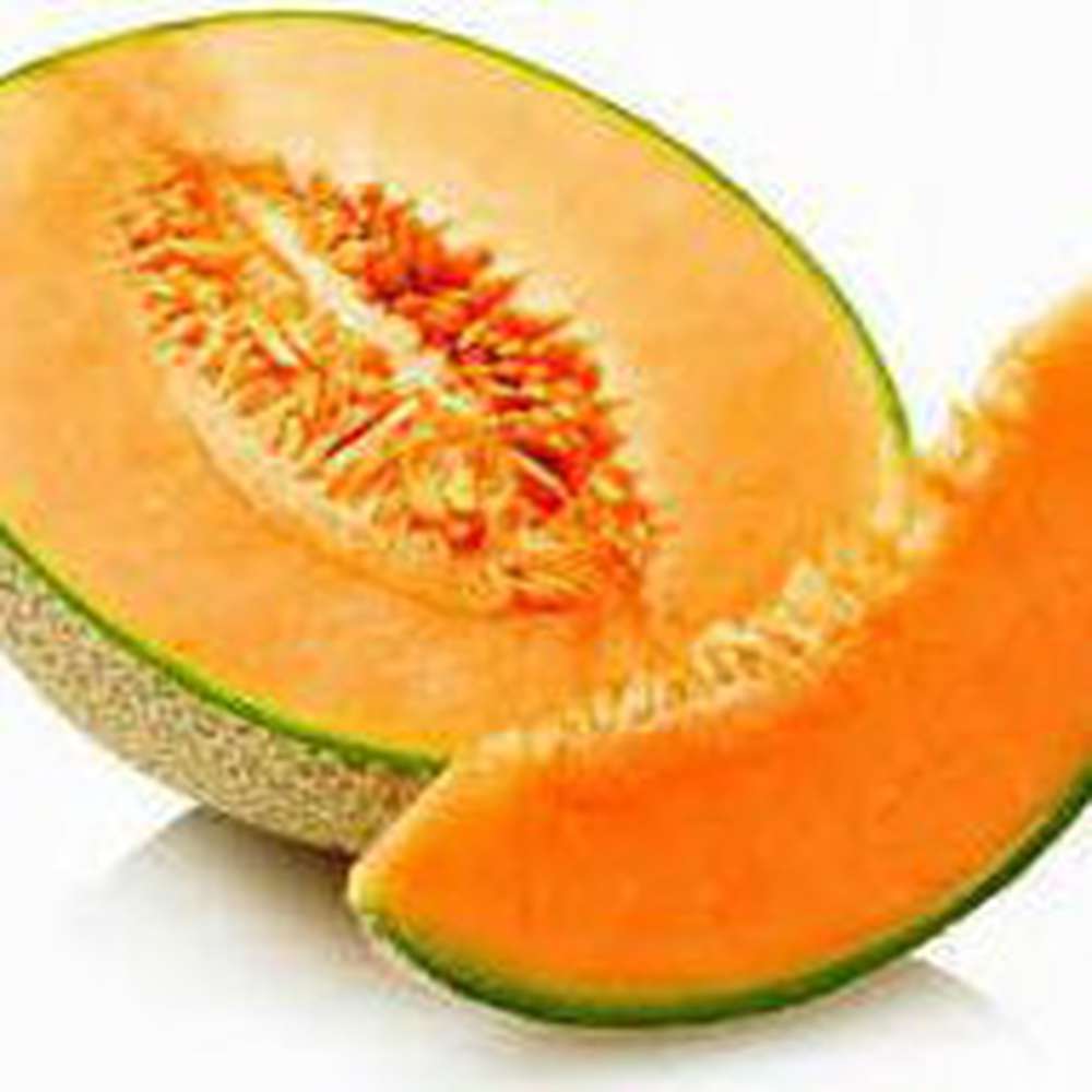 Rockmelon - Hales Jumbo Heirloom – D&H Seed Harvest Co