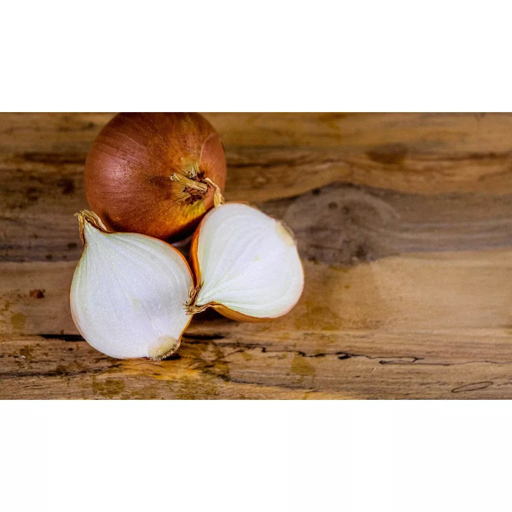 Onion 'Pukekohe Long Keeper' Seeds – D&H Seed Harvest Co