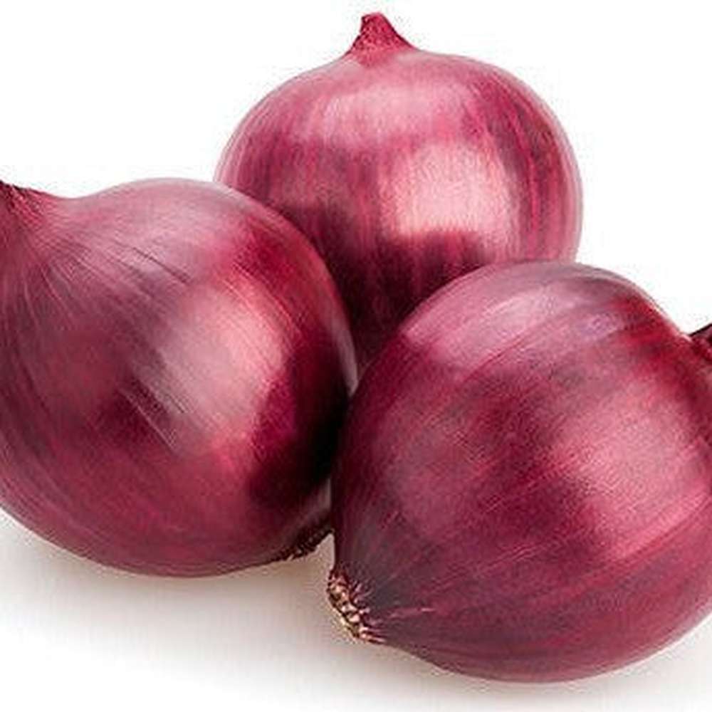 Red Onion ‘Rippa’ Seeds – D&H Seed Harvest Co