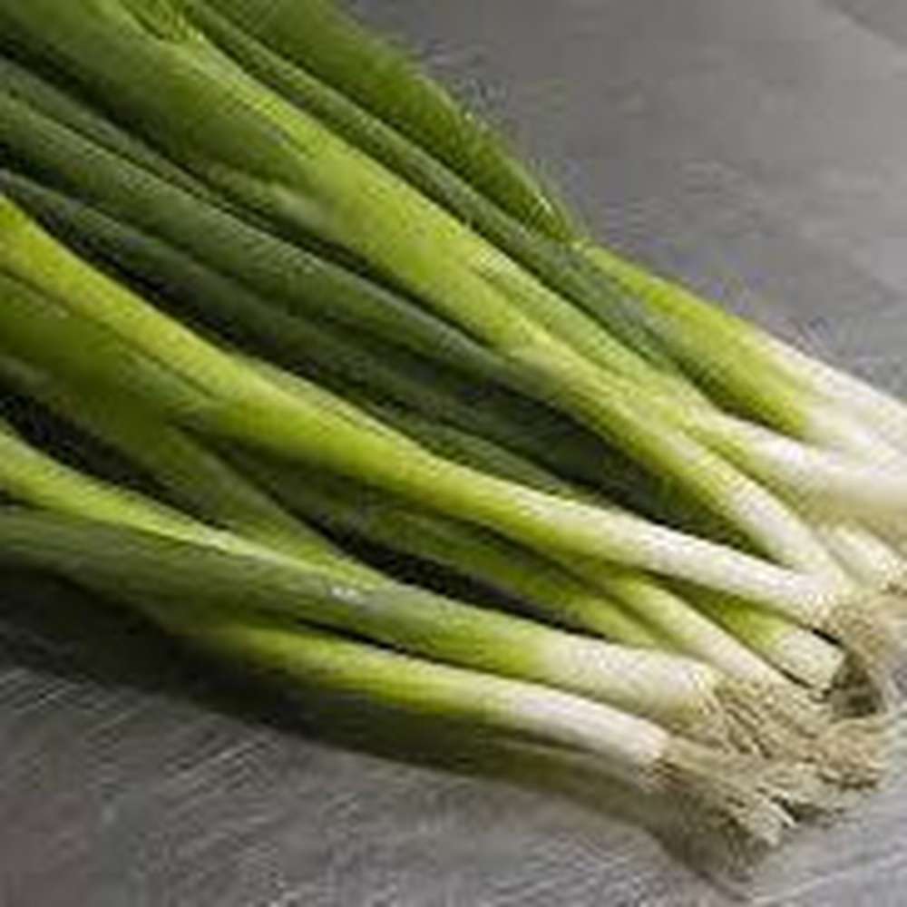 Spring Onion ‘All Year’ Seeds – D&H Seed Harvest Co