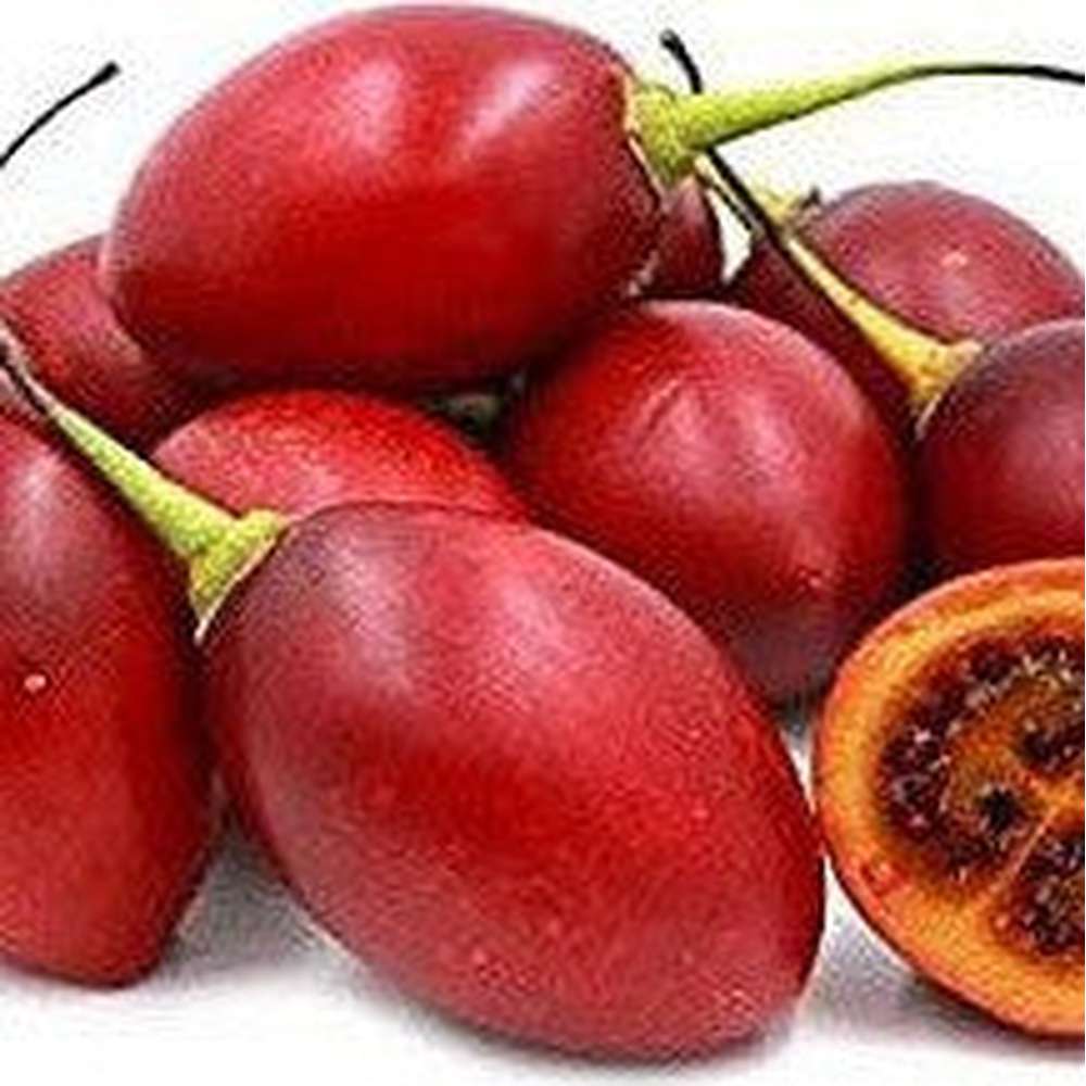 Betacea Red 'Tamarillo' Seeds – D&H Seed Harvest Co