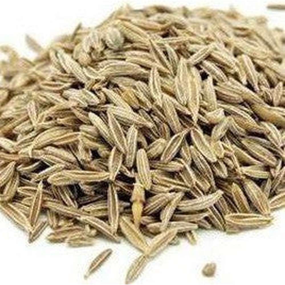 Cumin 'Green' Seeds – D&H Seed Harvest Co