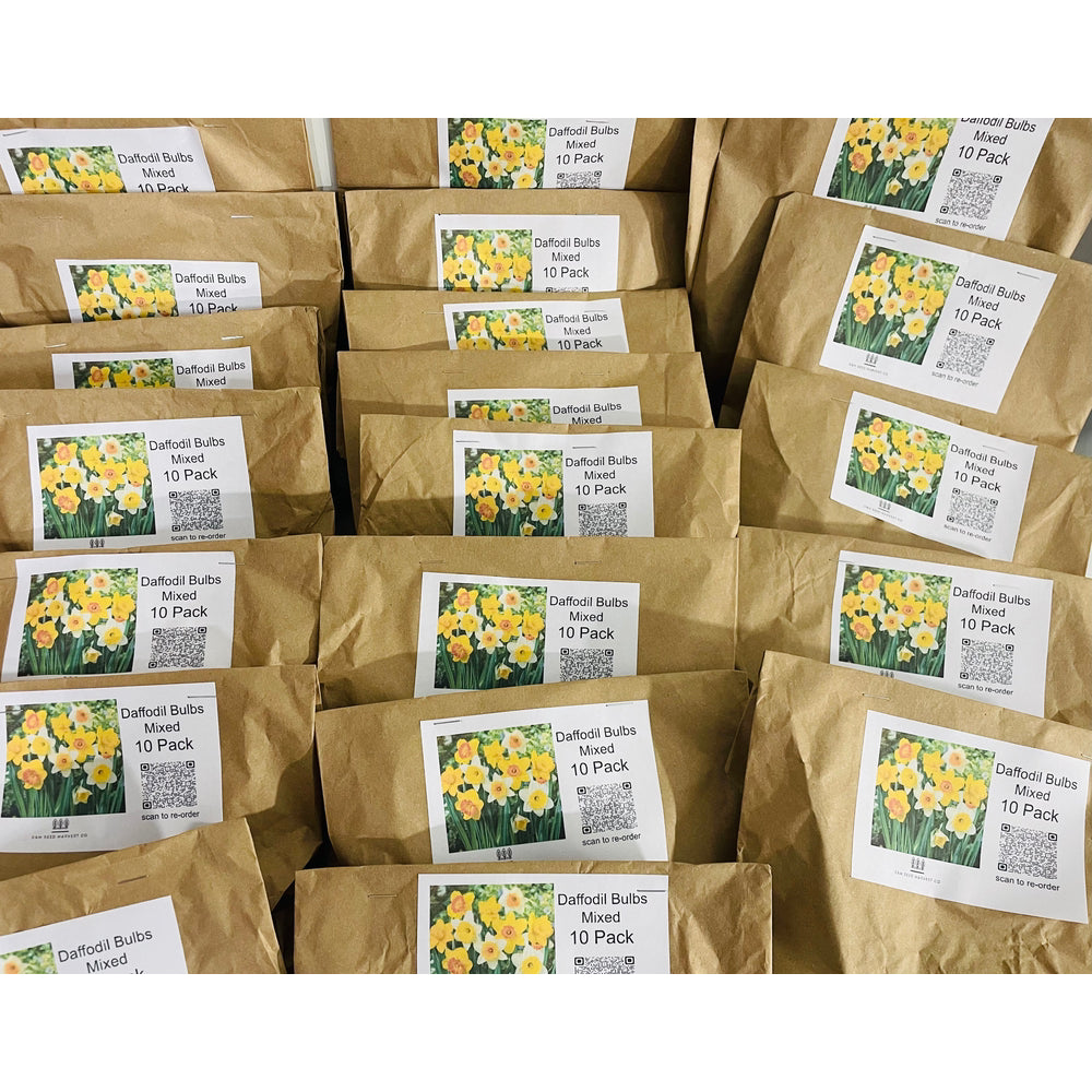 Daffodil Bulbs Mixed Packs – D&H Seed Harvest Co