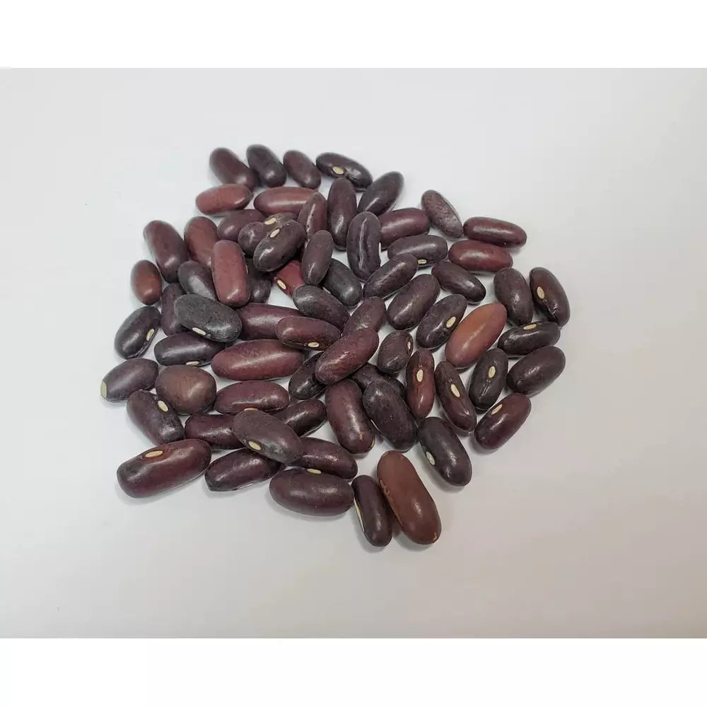 Bean 'Provider' Heirloom Seeds – D&H Seed Harvest Co