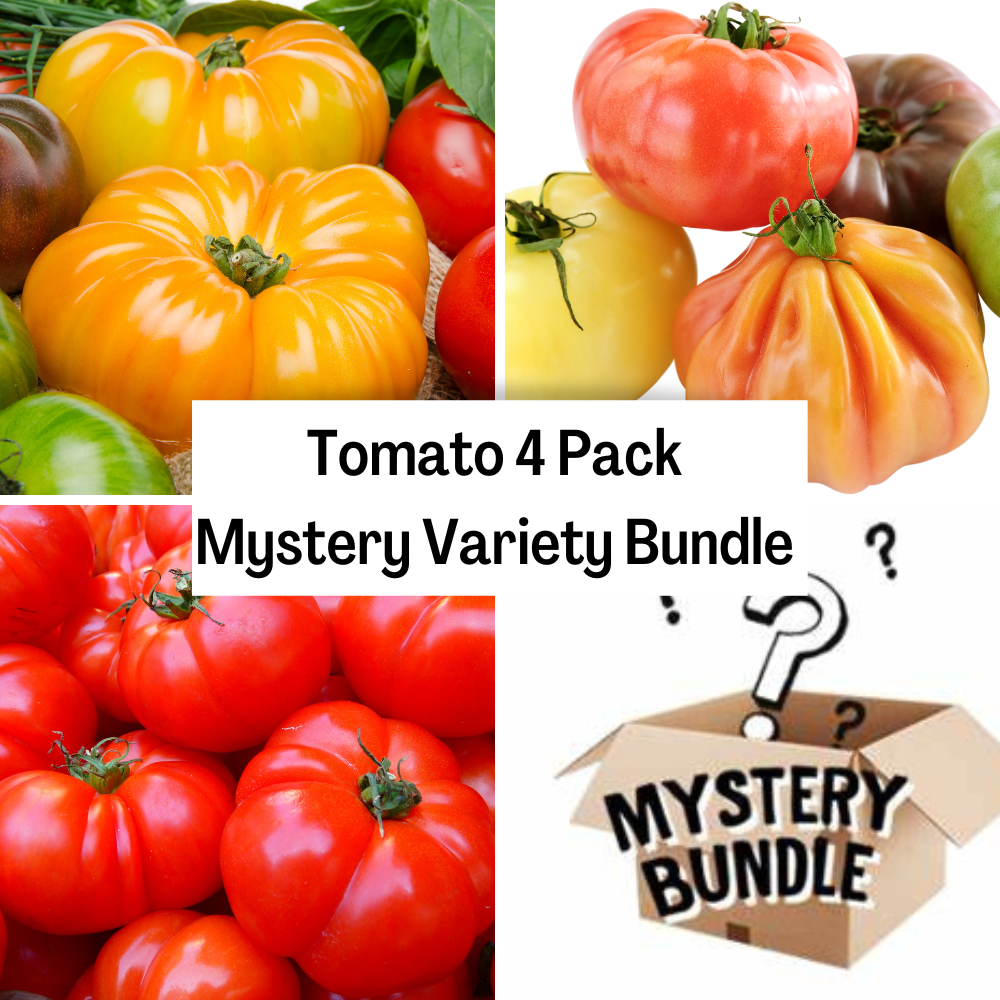 Tomato 4 Pack Mystery Variety Bundle – D&H Seed Harvest Co
